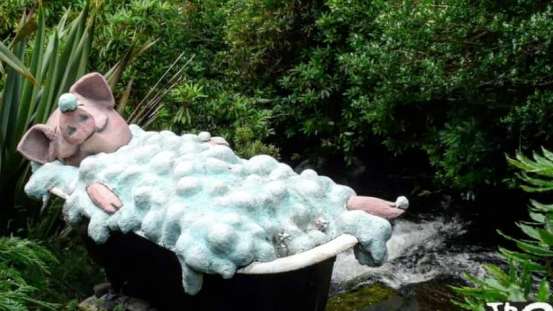 The Ewe Experience | Explore West Cork