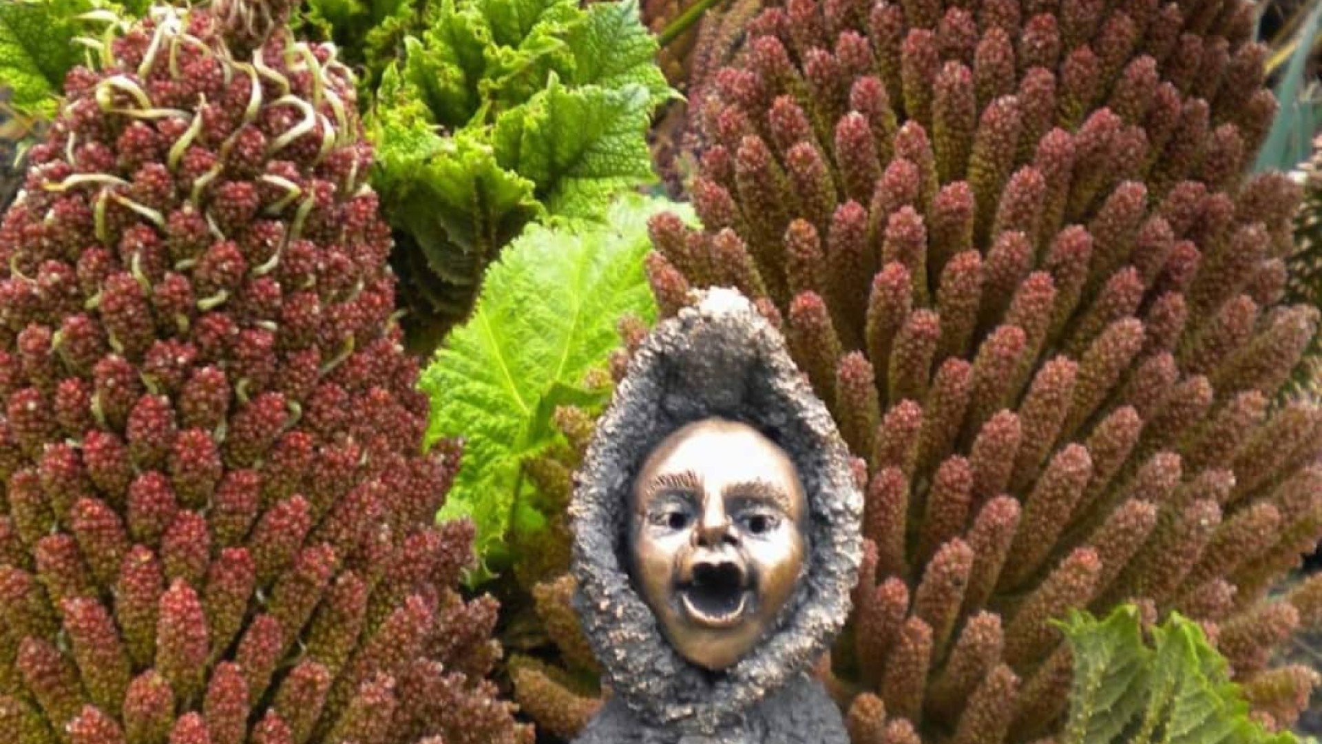 The Ewe Experience | Explore West Cork