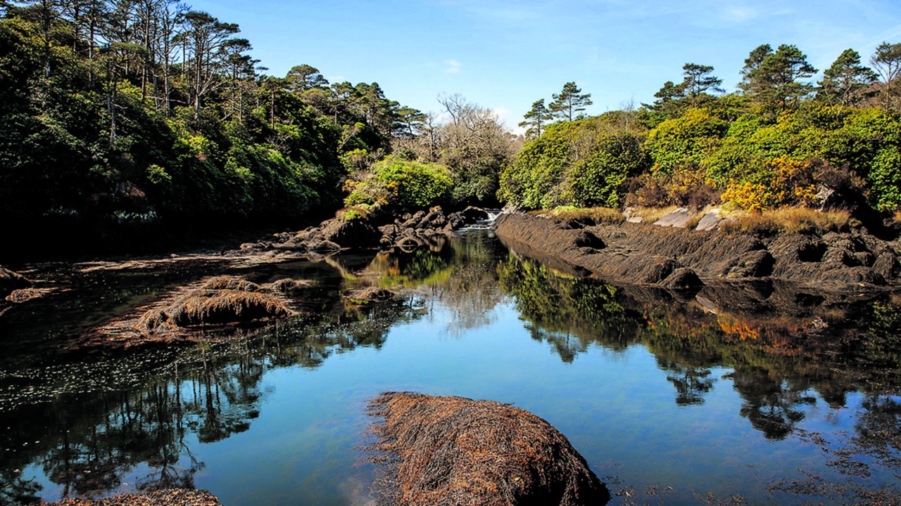 Ballylickey | Explore West Cork