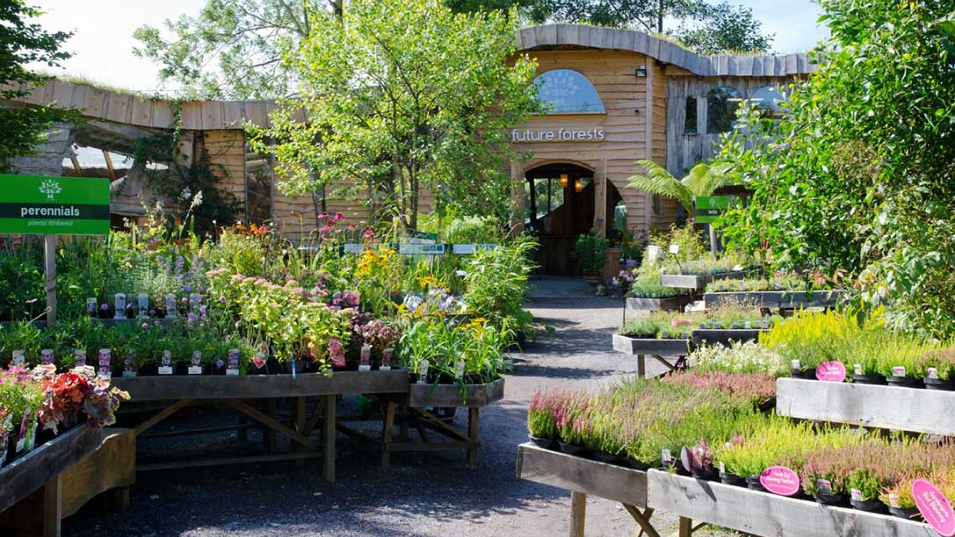 Future Forests | Explore West Cork