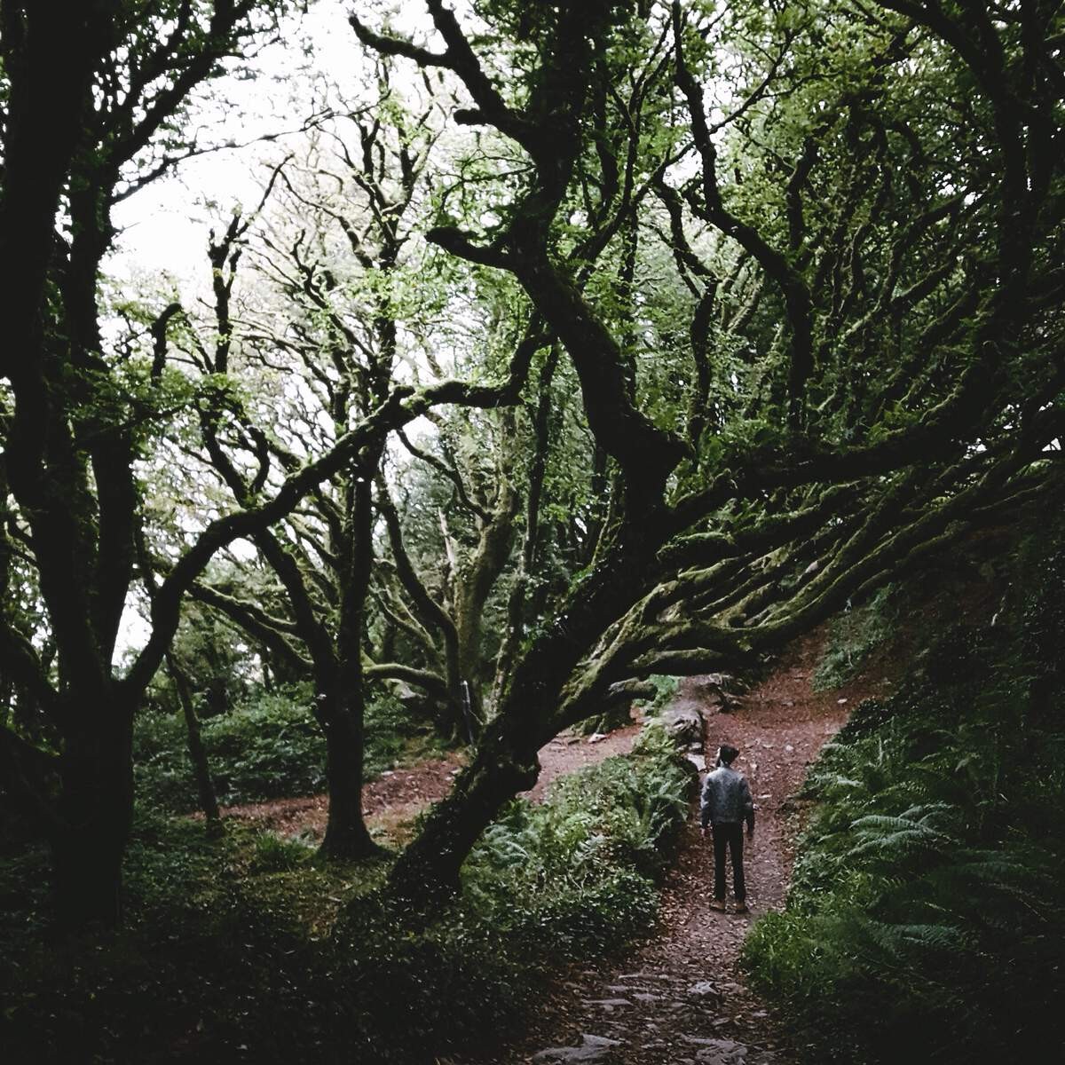 Lough Hyne Loop Walk | Explore West Cork